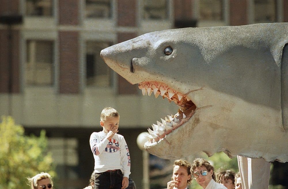 Why Martha's Vineyard Was The Perfect Setting For 'Jaws' | Radio Boston