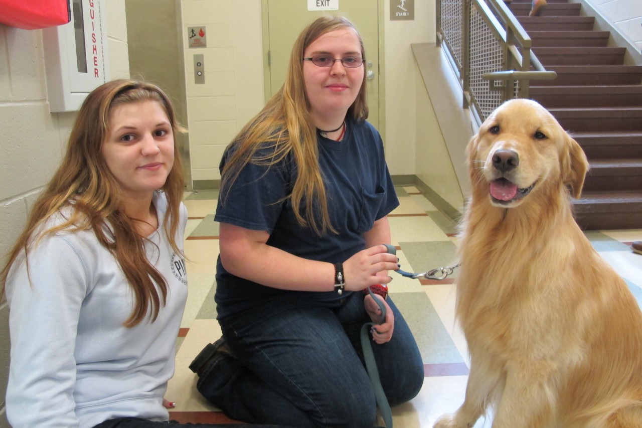 Norfolk Aggie, Where Students Love The Animals And The School | Radio ...