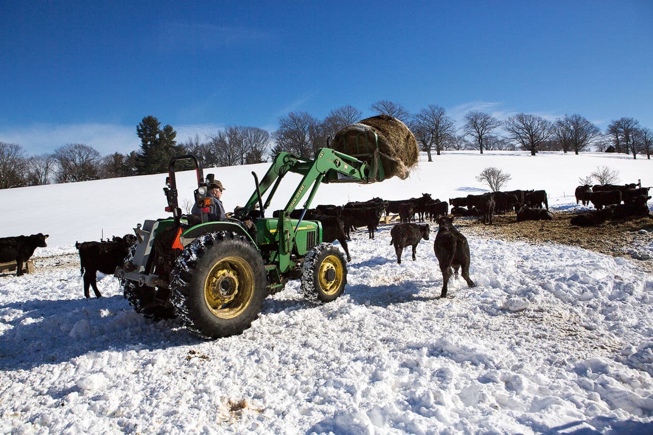 Photos: After Fire, Groton's Blood Farm Rebuilds | WBUR News