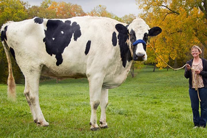 Our Week In The Web: July 3, 2015 | On Point