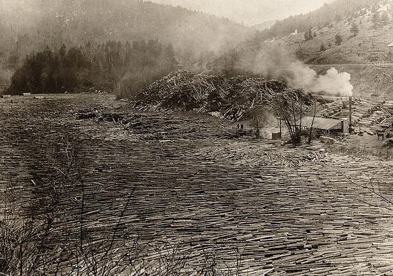 Documenting The History Of Connecticut River Log Drives | Here & Now