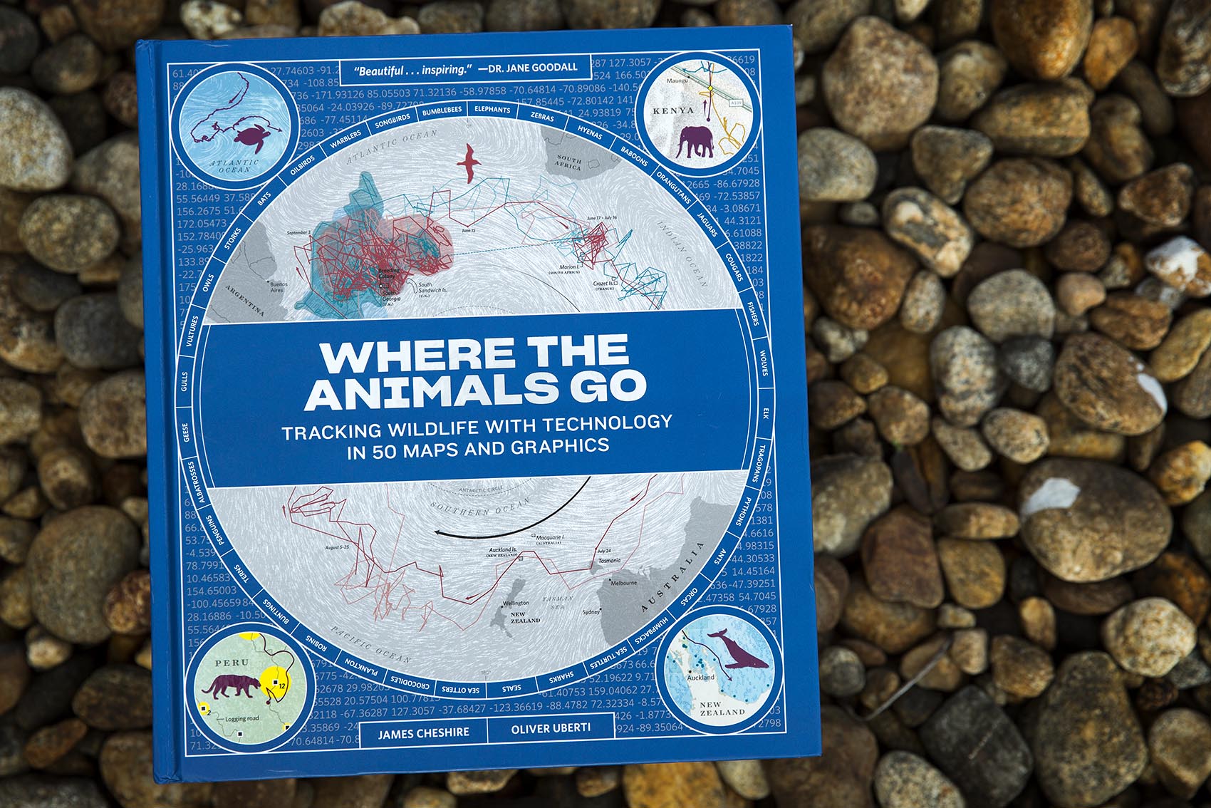How Technology Has Turned Tracking Animal Migration Into An Intricate ...
