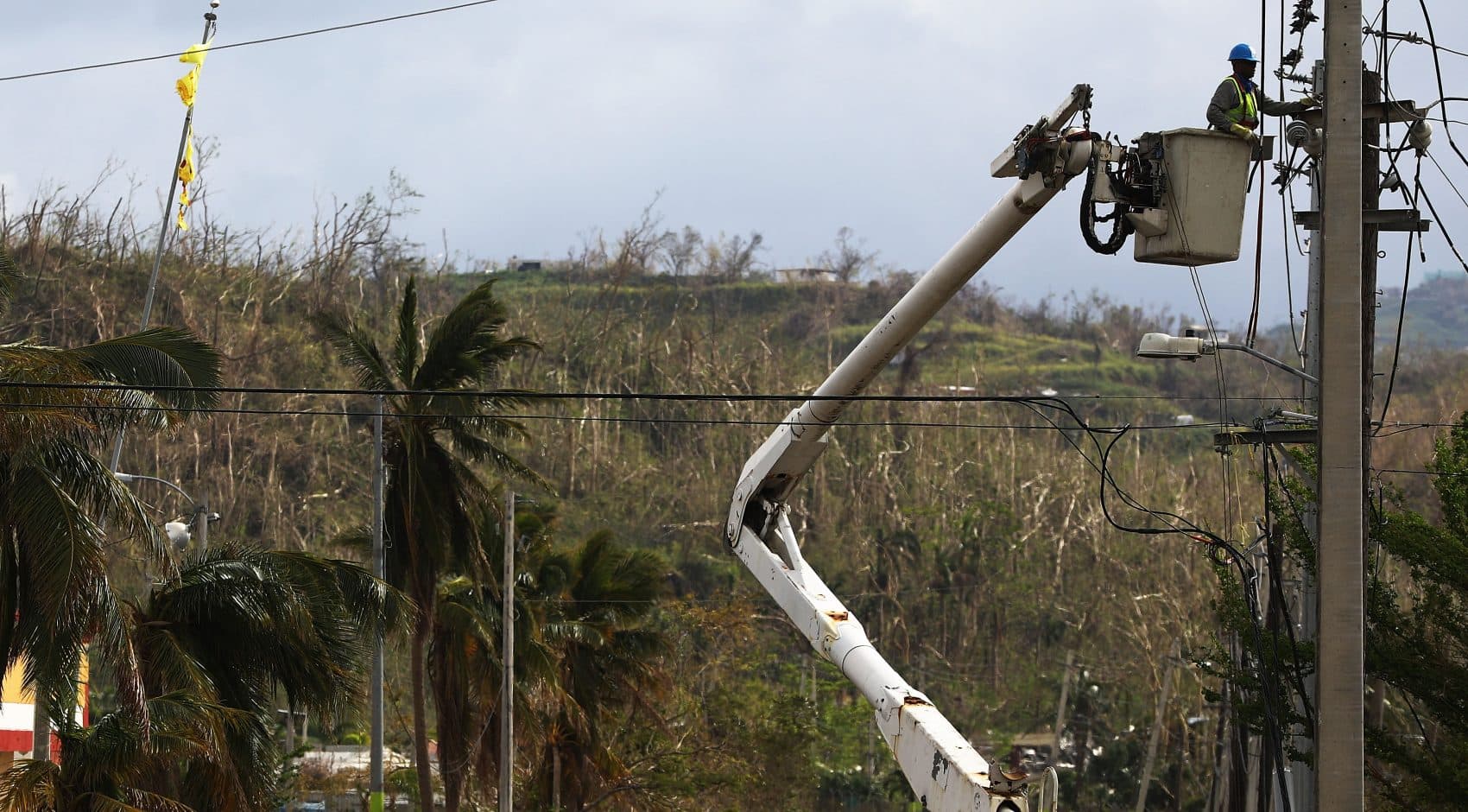 Small Montana Company Wins Big Contract To Rebuild Puerto Rico's Power ...