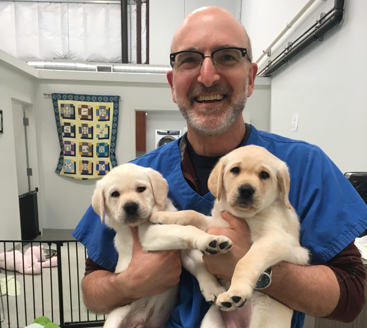 Longevity Study Seeks Participants, But Only Dogs Need Apply | NCPR News