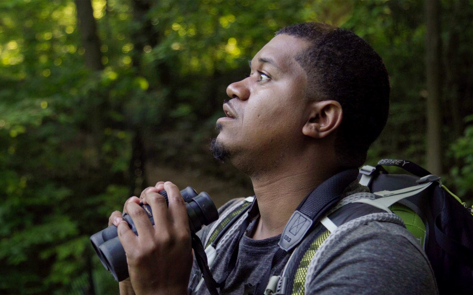 Birding While Black: Jason Ward On Central Park Video, Racism And His ...