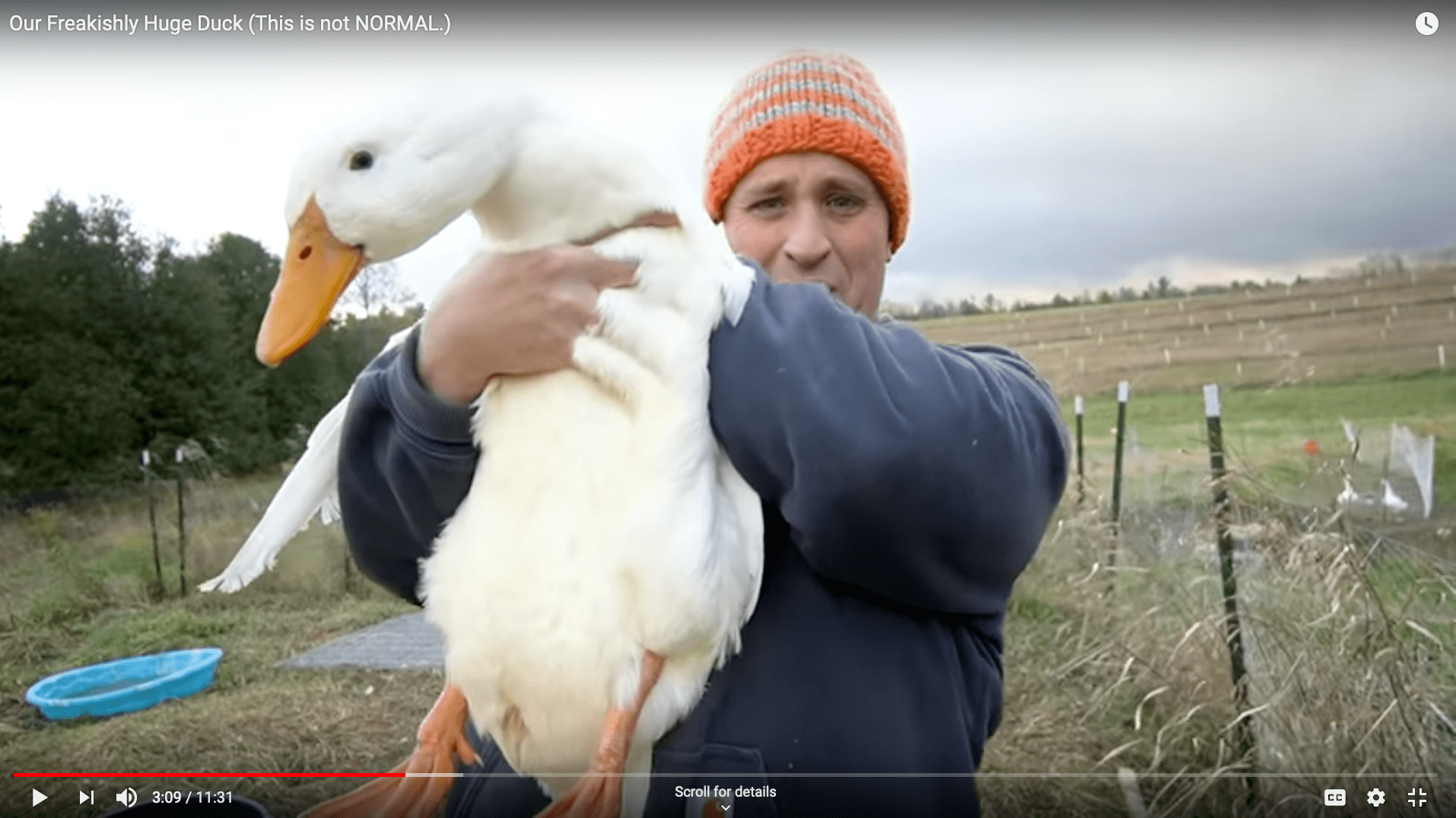 No Quackery With These Young Farmers Who Became YouTube Stars | NCPR News