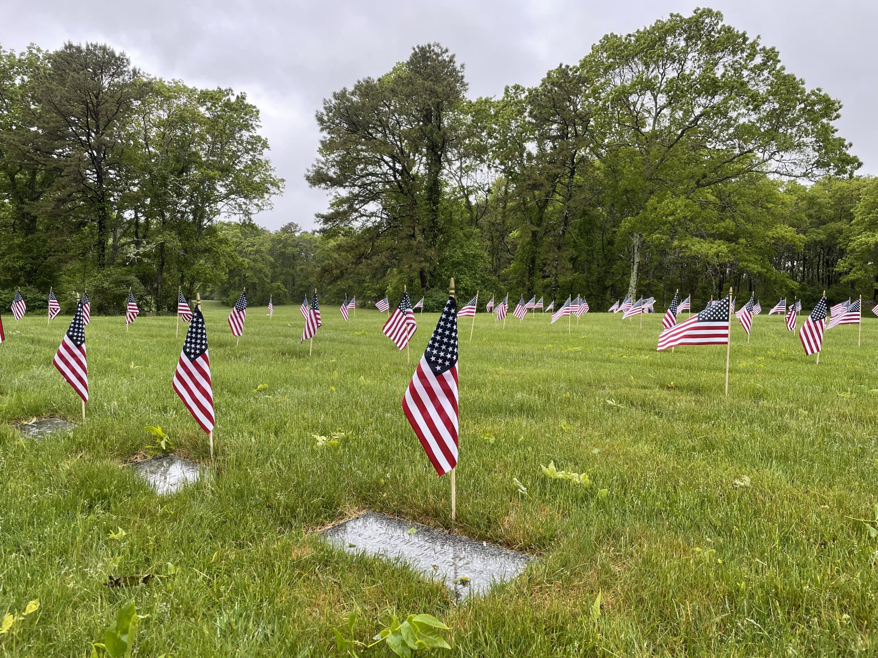 Father Honors Son Lost To War By Planting Thousands Of Flags Each Year ...